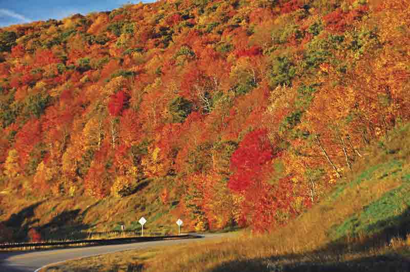 West Virginia fall foliage popular | News, Sports, Jobs - News and Sentinel